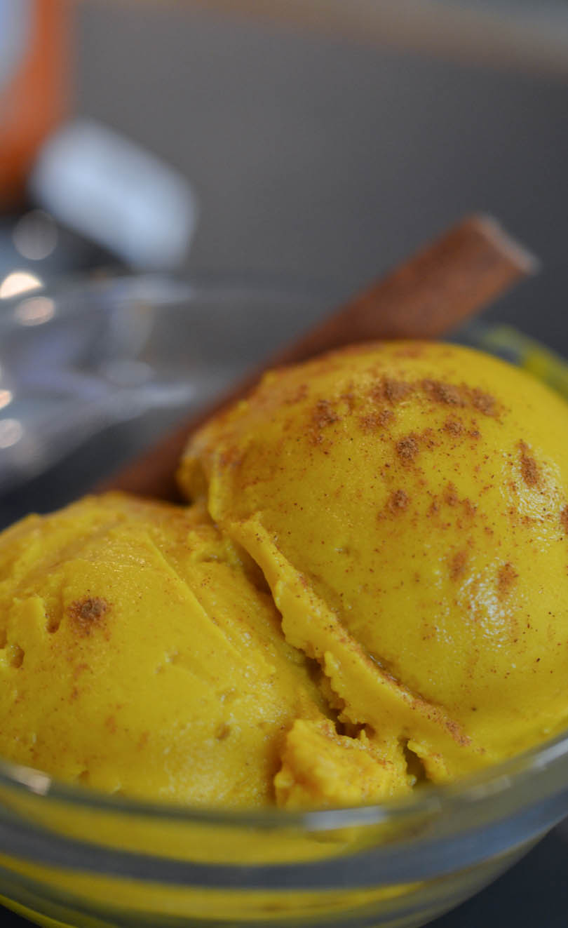 Pumpkin Ice Cream | Life is NOYOKE